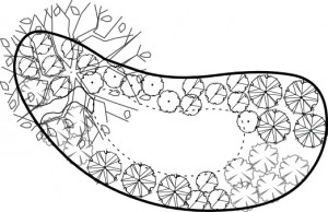 Rain Gardens | Monterey Bay Friendly Landscaping