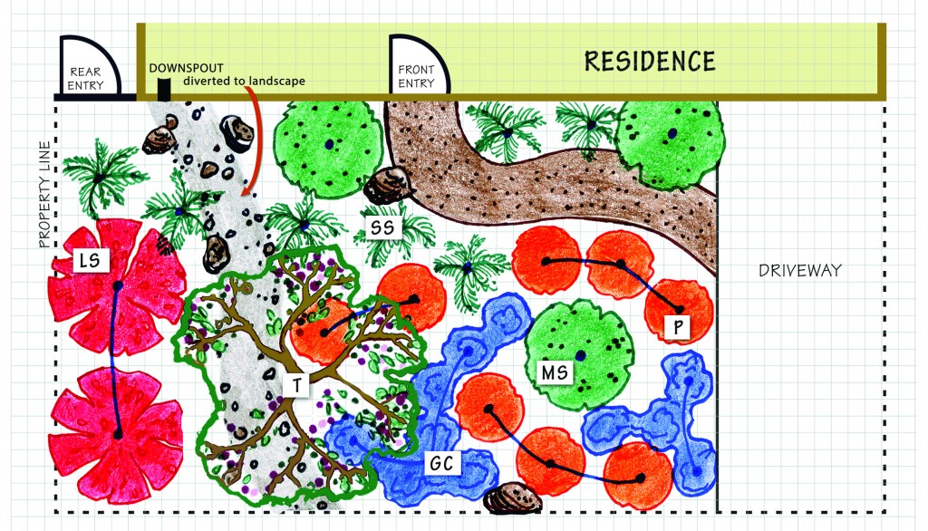 Oak Woodland Plant Options | Monterey Bay Friendly Landscaping